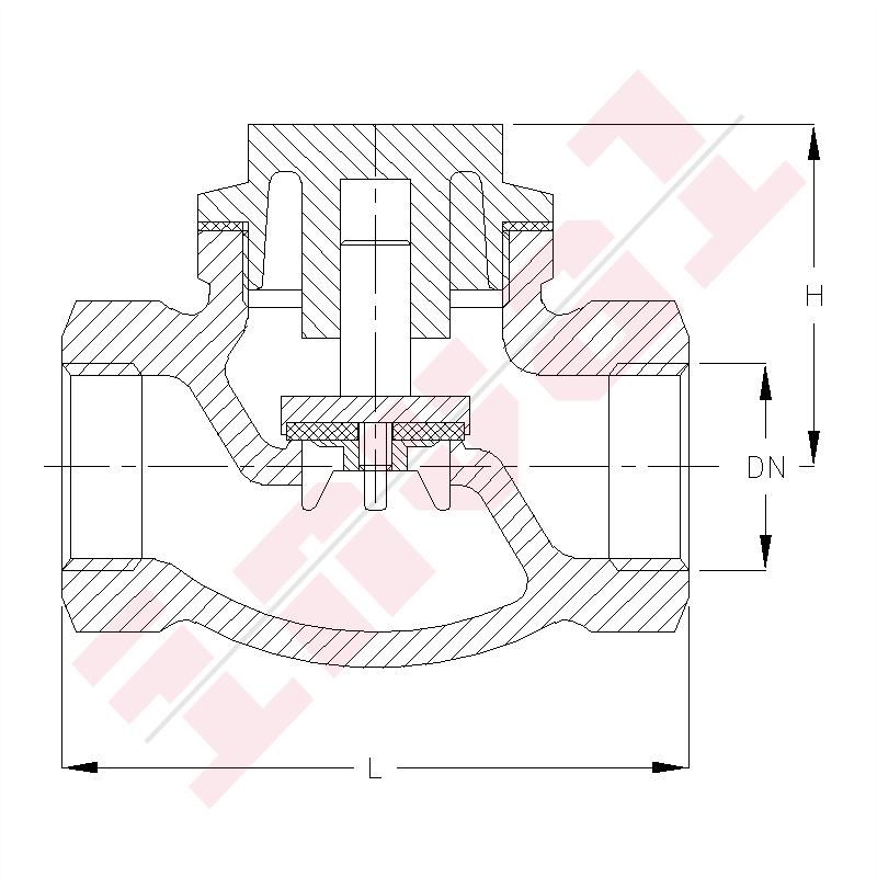 Check valves with thread – Inval Holland